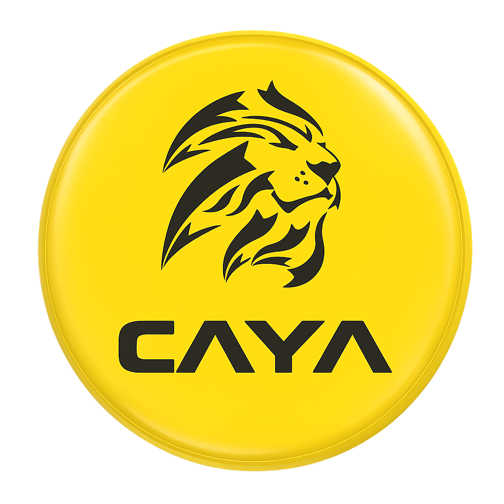 Caya Cycles – Smart Design for City, Kids & Hybrid Riders – VD CHAWLA ...